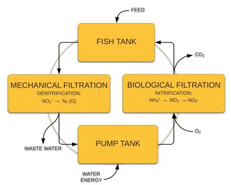 Recirculating aquaculture system or RAS - Aquaculture ID