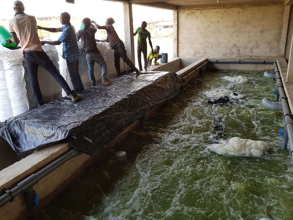 Recirculating aquaculture system or RAS - Aquaculture ID