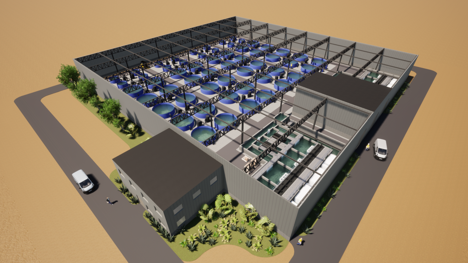 Design of a 200MT European sea bass (Dicentrarchus labrax) RAS grow out ...